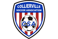 GMSA - Greater Memphis Soccer Association: RIBS Tournament