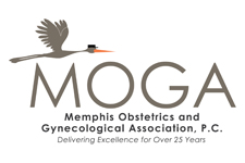 GMSA - Greater Memphis Soccer Association: RIBS Tournament