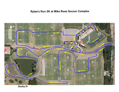 GMSA - Greater Memphis Soccer Association: RIBS Tournament